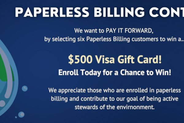 SouthWest Water Company - SouthWest Water Company