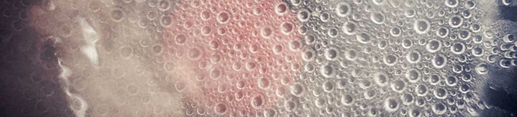 Understanding a Boil Water Notice - Your Local Utility